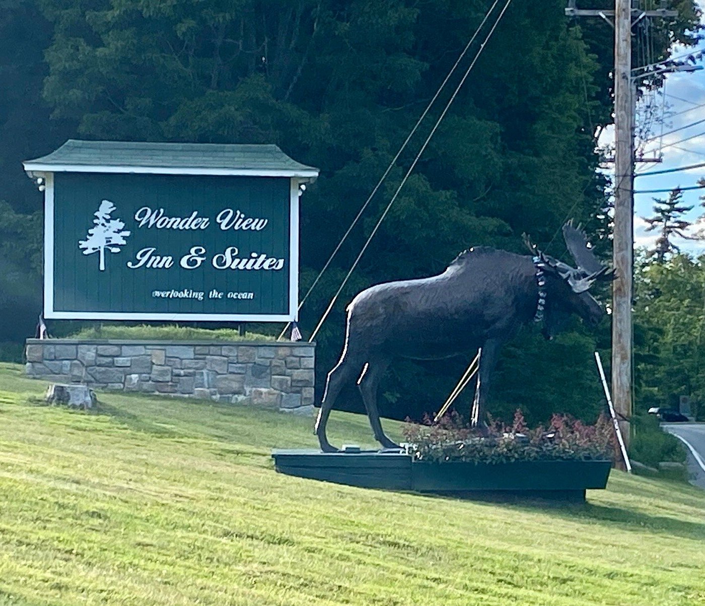 Bar Harbor, Maine in Spring: A Dreamy Dog-Friendly Coastal Getaway ...